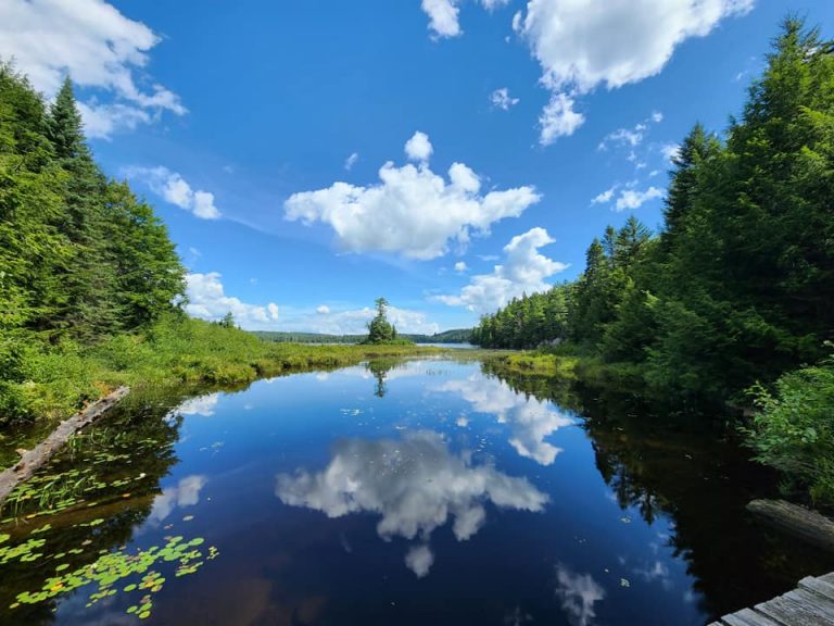 Haliburton Forest and Wild Life Reserve - Route Champlain